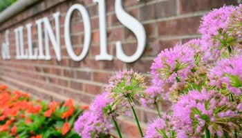 English as a Second Language | Department of Linguistics | UIUC